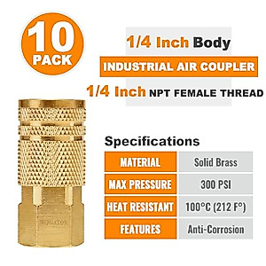 1/4 Inch Brass Female Industrial Coupler, SUNGATOR 1/4'' NPT Air Hose Fittings, Quick Connector Air Coupler,1/4 Inch Air Fittings for Auto Shop, Industrial Air Coupler Kit with Storage Case, 10 Pack