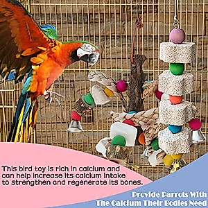 kathson Parrot Chewing Toy Bird Cuttlebone Toys Parakeet Beak Grinding Stone Hanging Bird Toys with Bell Natural Mineral Lava Blocks Chew Toys for Budgie Cockatiel Conure African Grey（2 Pack）