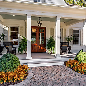 Triarrhena Artificial Flowers 9 Bundles Faux Outdoors Shrubs Hanging No Fade UV Resistant Fake Plants Home Decor Garden Farmhouse (Yellow)