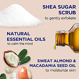 Dr Teal's Shea Sugar Body Scrub, Shea Butter with Almond Oil & Essential Oils, 19 oz (Pack of 3) (Packaging May Vary)