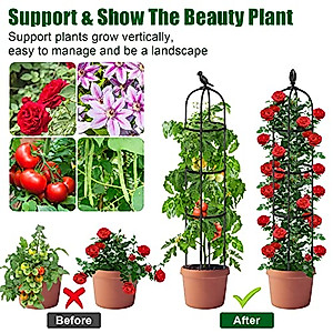 MYard 2 Pack Garden Obelisk Trellis, 6FT Tall Rustproof Climbing Plant Support, Garden Tower Trellis for Potted Plants Flowers Vegetable Vine Indoor Outdoor