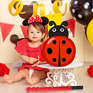 Pasimy Ladybug Piñata with Blindfold Bat Confetti Ladybug Party Decorations Ladybug Birthday Party Supplies Summer Parties Game Insect Party PiñataCarnival Decorations, 16 x 11.8 x 2.9 Inches
