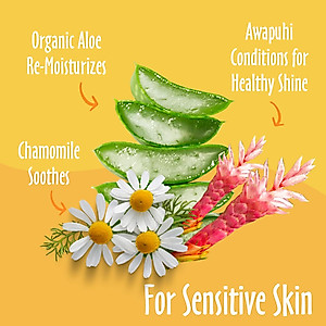 earthbath, Hypo-Allergenic Grooming Wipes - Fragrance Free Dog Wipes for Paws and Butt, Best Pet Wipes for Dogs with Sensitive Skin, Made in USA, Cruelty-Free Dog Cleaning Wipes - 100 Count (2 Pack)