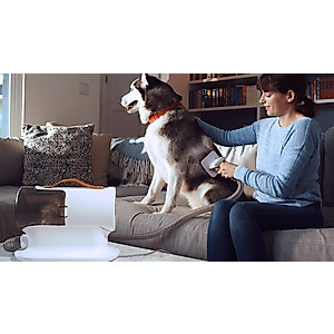 AIRROBO Dog Grooming Vacuum, Dog Grooming Kit,12000Pa Strong Pet Grooming Vacuum for Dogs, 2L Large Capacity Dog Vacuum for Shedding Grooming Hair, Dog Hair Vacuum, 5 Pet Grooming Tools, Quiet,PG100