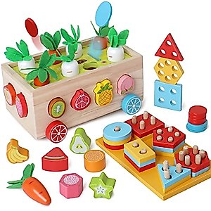 BEAUAM Toddlers Montessori Educational Toys for Boys 2 3 4 Year Old Girls, Wood Shape Classification Toys for Gifts for Children 2-4, Wood Preschool Carrot Harvest Game