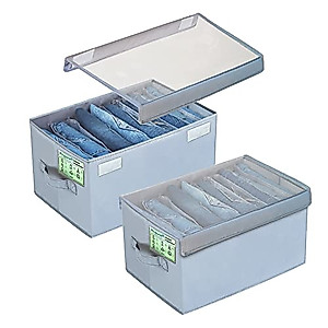 Riquie 2 Pcs Foldable Wardrobe Clothes Organizer for Jeans, Newly Upgrade Washable Closet Drawers Organizers and Storage Pants, Thin Coat with Handle Clear Lids Label (9 Grids Grey)