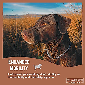 All American Canine Hip & Joint Support Soft Chews for Dog - Supplement Help Reduce Painful Inflammation with Glucosamine & Chondroitin - Reduces Inflammation Joint Flexibility & Joint Mobility - 12oz