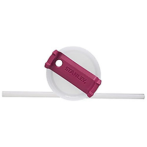 Stanley Adventure Quencher Travel Tumbler 20oz Azalea