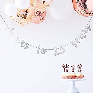 StarsGarden Cheers to 25 Years Banner – It's My Funny Fabulous 25 Banner -25th Birthday Banner Decorations - Finally 25 Milestone Happy Birthday Decorations(Silver 25) (SG-22NP458)