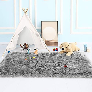 Pacapet Fluffy Faux Fur Rug,Grey Fur Rug Sheepskin Rug for Bedroom,Furry Shag Rug for Living Room,Fuzzy Rug Carpet for Bedside Kids Nursery Room Decor,2x3 ft