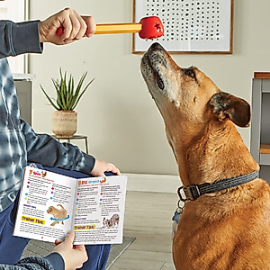 Brightkins Pooch School Training Set - 15 Piece Set Training Games for Dogs, Games and Toys for Dogs