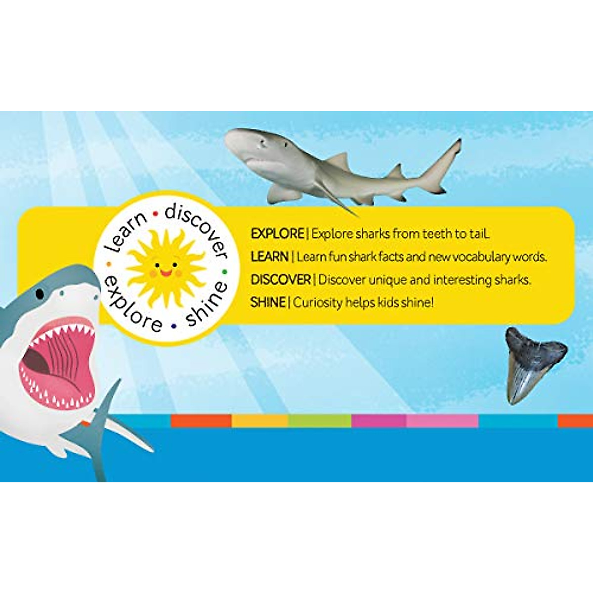 Sharks (Smithsonian Kids First Discovery Books)