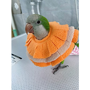 Adjustable Parrot Cone Collar, Safe and Practical Cotton Collar to Prevent Bites and Licking Wounds, to Help heal (4XL)