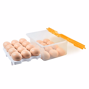 2 Tiers Egg Container Deviled Egg Carrier Eggs Holder with Handle Fridge Freezer Storage by DELIFUR (Orange)