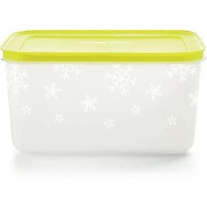 Tupperware Plastic Utility Freezer Container 2.5 L (Multicolor)