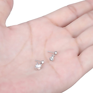 Xpircn 2PCS Nose Rings Studs 20G Stainless Steel Nose Pin Bone Studs