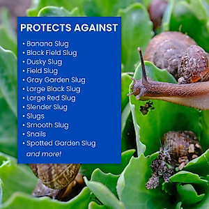 Natria 706190A Snail and Slug Killer Bait Granules, 1.5 lb