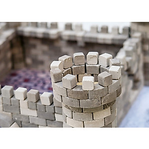 Wise Elk Toy Eagle Nest Castle Educational Gift Construction Set, Real Plaster Bricks, Gypsum Reusable Building Kit, 870 Piece