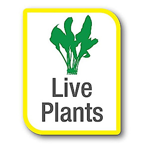 Tetra 41004 Stay Clean Bio-Bag Large 4 Pack