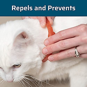 Wondercide - Flea and Tick Cat Collar - Flea, Tick, and Mosquito Repellent, Prevention for Cats - with Natural Essential Oils - Pet and Family Safe - Up to 4 Months Protection