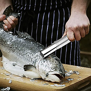 ＫＬＫＣＭＳ Electric Fish Scaler, Fish Scale Remover Descaler Seafood Cleaning Tool Automatic Fish Scale Cleaner Fish Cleaning Tools for Restaurant, Argent