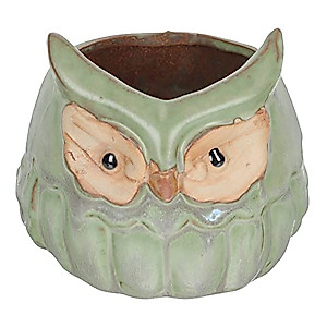 Happyyami Outdoor Decor Pots Ceramic Animal Owl Planter Novelty Flower Pots Small Desk Animal Statue Porcelain Plant Pot Bonsai Container for Home Office Tabletop Decorations Home Decor