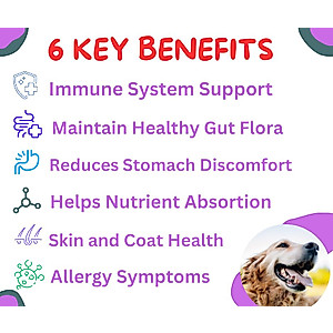 FREYDELL Pets Probiotics for Dogs Dog Upset Stomach Relief Dog probiotic, Fiber Supplement for Dogs, Yeast Infection Treatment for Dogs & Dog Diarrhea Medication, Probiotic for Dogs of All Ages.