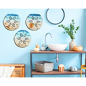 3 Pieces Sand Dollar Wall Decor Wood Outdoor Coastal Wall Art Ocean Beach Wall Decor Starfish Seashell Sand Dollar Beach Signs Hanging Wooden Nautical Bathroom Decor for Home Bathroom Sea Decorations