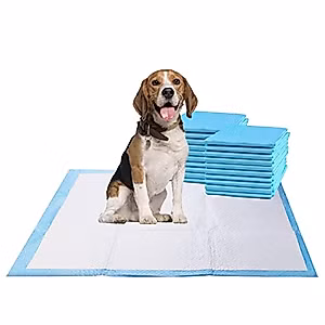 Paul Frank - Puppy Pads Pee Pads for Dogs Potty Training Dog Pads Odor Absorber Pee Pad Holder Pads for Dogs Urine Leak Proof Gel Pad Super Absorbent Pads Disposable