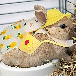 2 Sets Small Animal Harness Vest and Leash Set Small Pet Chest Harness Vest Walking Vest Harness for Rabbit Ferret Teacup Poodle Kitten (Pineapple and Plaid)