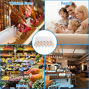 LOEQIAN 30 Pack 12 Count White Pulp Egg Cartons, Blank Cardboard Egg Cartons with 100 Egg Labels, One Dozen Egg Holder Container Organizer for Home, Kitchen, Farmhouse, Sturdy & Reusable