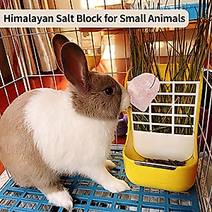 BNOSDM 12 Pack Small Animals Himalayan Salt Licks Set, 6 Rabbit Mineral Salt Blocks and 4 Hamster Teeth Grinding Stones Natural Bunny Chew Treat Toys for Rats Guinea Pigs Ferrets Chinchillas