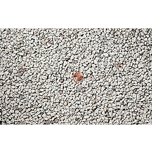 3 Gal. 3/16" Small Grain Horticultural Pumice for Cactus & Succulent, Bonsai Tree Soil Mix
