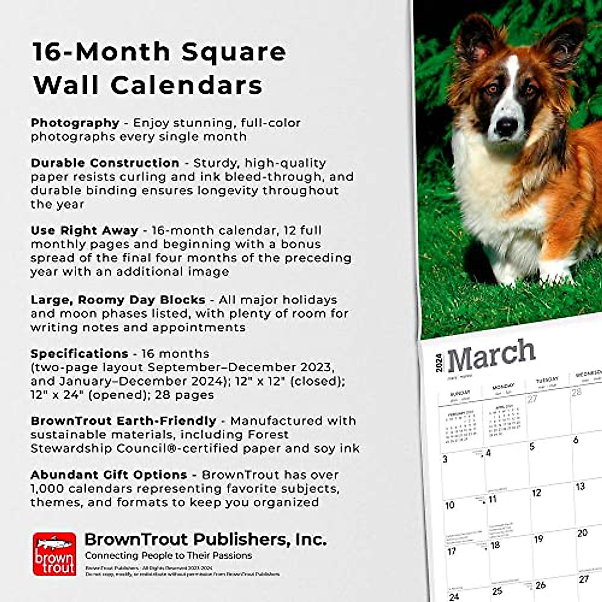 Cardigan Welsh Corgis | 2024 12 x 24 Inch Monthly Square Wall Calendar | BrownTrout | Animals Dog Breeds