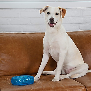 Petstages Orka Tire Royal Blue Treat-Dispensing Dog Chew Toy