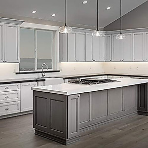 Armacost Lighting 566020 White LED Tape Light Connector, Clear