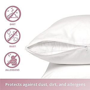 CirclesHome Body Pillow Protectors (20 X 55) - 100% Zippered Cotton Body Pillow Covers - Extra Long Zippered Pillowcase - Protects Pillows from Dirt, Dust and Debris (Body- Set of 2 - 20x55)