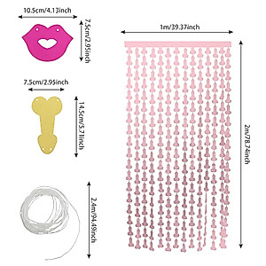 Bachelorette Party Foil Curtain,Bachelorette Party Decorations,Bachelorette Party Background,39.37x78.74inch Fringe Curtain Party Supplies,Banner,Great for Theme Party Bridal Shower(Rose Gold)