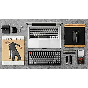 Keychron K2 Version 2 Wireless Gaming Mechanical Keyboard, Bluetooth/USB Wired Compact 84 Keys RGB LED Backlit Aluminum Frame for Mac Windows, Gateron G Pro Blue Switch