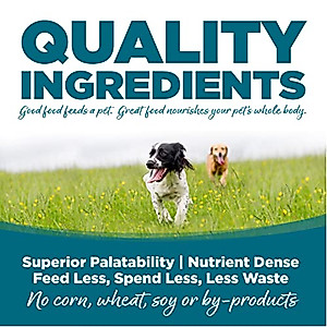 Nutrisource Adult Chicken & Rice Dog Food 5Lb