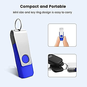 RAOYI 10 Pack 8GB USB Flash Drive, USB 2.0 Swivel Metal Memory Stick Thumb Drives Pen Drive Jump Drive for Data Storage (4 Mixed Color)