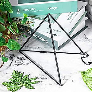 NCYP Side Length 8 Inches, Black Hanging Brass Glass Frame for Pressed Dried Flowers, Picture Photos Double Glass, Floating Frame Style Triangle Herbarium (Glass Frame Only)