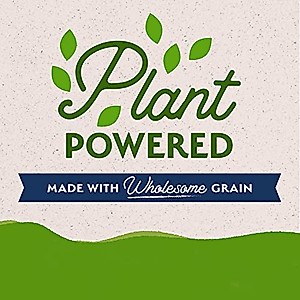 Natural Balance Limited Ingredient Adult Wet Canned Dog Food with Vegan Plant Based Protein and Healthy Grains, Vegetarian Recipe, 13 Ounce (Pack of 12)