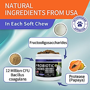 HEYISME Cat Probiotic, Chews for Gut and Immune Health, Cats Probiotic Supplement for Cat Digestive Support, Healthy Digestion, Cat Constipation and Diarrhea Relief (Salmon, 120 Chews)