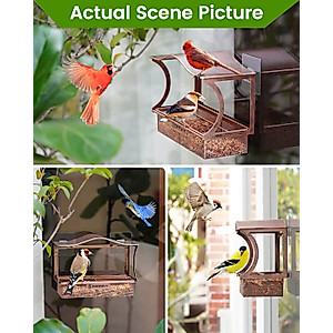 Window Bird Feeder, Desgully Metal Window Bird Feeder, Window Bird Feeders with Strong Suction Cups, Super Adhesive Sheet×4，Large Outdoor Bird Feeder, Bird Watching Gift (Curved)