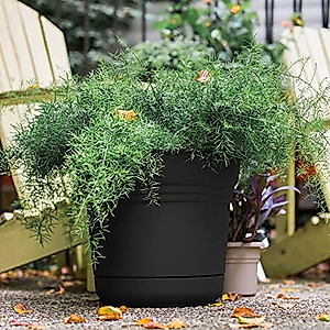 Bloem Saturn Round Planter with Saucer Tray: 12" - Black - Durable Plastic Pot, Matte Finish, Removable Saucer, for Indoor & Outdoor Use, Gardening, 3 Gallon Capacity