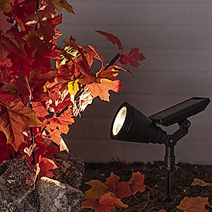 Sterno Home GL40460 Outdoor Solar LED Black Light Kit, Ground or Wall Mountable, Landscape Waterproof Security Lighting with Adjustable Spotlight for Patio, Porch, Deck, Garden, Pool - 2 Pack