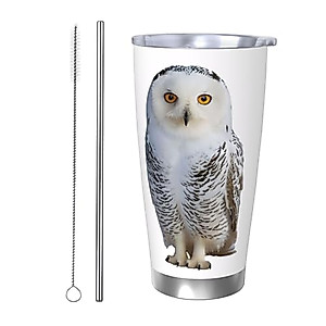 jshmgchw 3d Owl 20oz Tumbler, Car Cup With Lid And Straw, Spill-Proof, Stainless Steel Double Wall Vacuum Insulated Reusable Coffee Travel Mug, For Cold Drinks, Hot Beverage