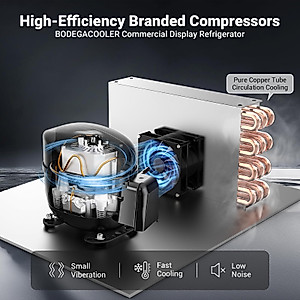 BODEGACOOLER commercial refrigerators glass door, 9 cu.ft commercial beverage refrigerator, glass door display refrigerator for beer,bar,drink, commercial merchandiser refrigerator, commercial fridge.