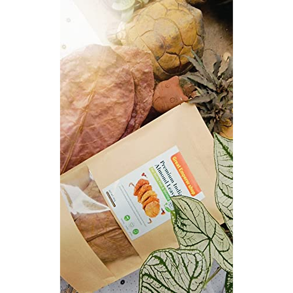 Pufa Great Emperor shop Premium Indian Almond Leaves Medium Catappa for Betta Fish & Shrimps|Best / Shrimp |Indian Almonds Naturally sourced Help Boost immunity 65g.